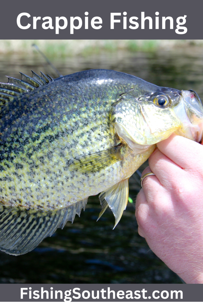 Crappie Fishing - Fishing Southeast