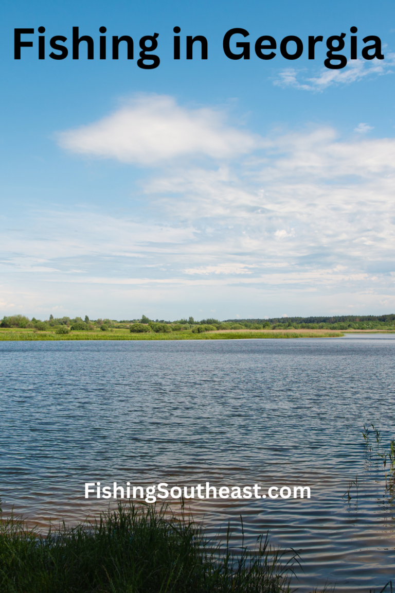 Freshwater Fishing in Georgia: An Enthusiast's Guide - Fishing Southeast
