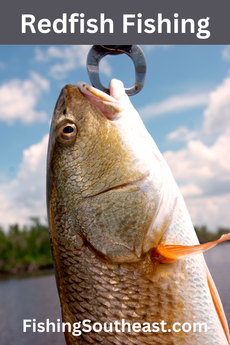 Redfish Fishing - Fishing Southeast